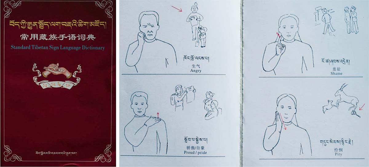Beyond ‘Neither Goat nor Sheep’: Eroding Tibetan language to forcibly ...